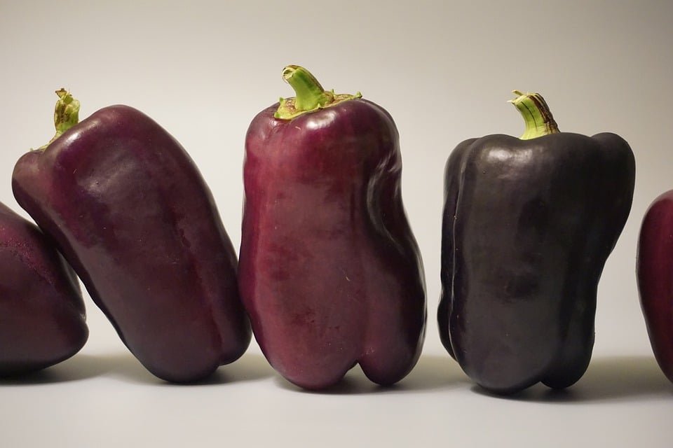 Understanding the Role of Socio-Economic Factors in Nigeria's ...